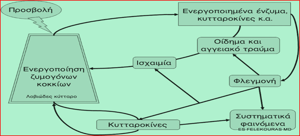 Οξεία Παγκρεατίτιδα: Αιτιοπαθογένεια, κλινική εικόνα, διάγνωση και ...