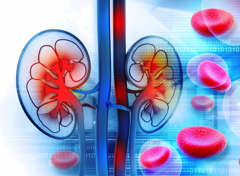 Χρόνια Νεφρική Ανεπάρκεια: οι σοβαρές επιπλοκές της και η απαραίτητη ...