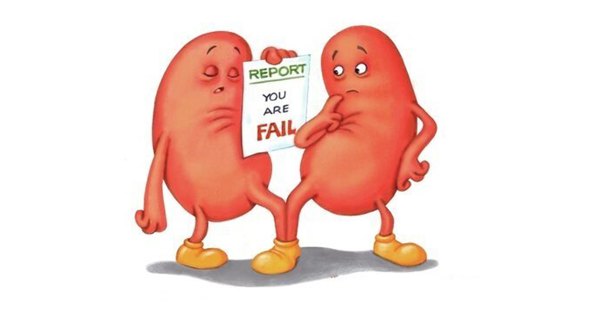 Χρόνια Νεφρική Ανεπάρκεια: οι σοβαρές επιπλοκές της και η απαραίτητη ...